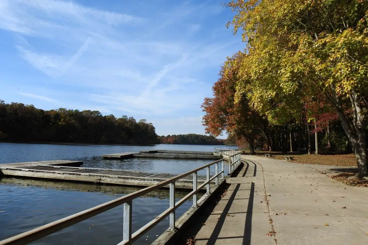 Lums Pond State Park Campground Review (Great Price!)